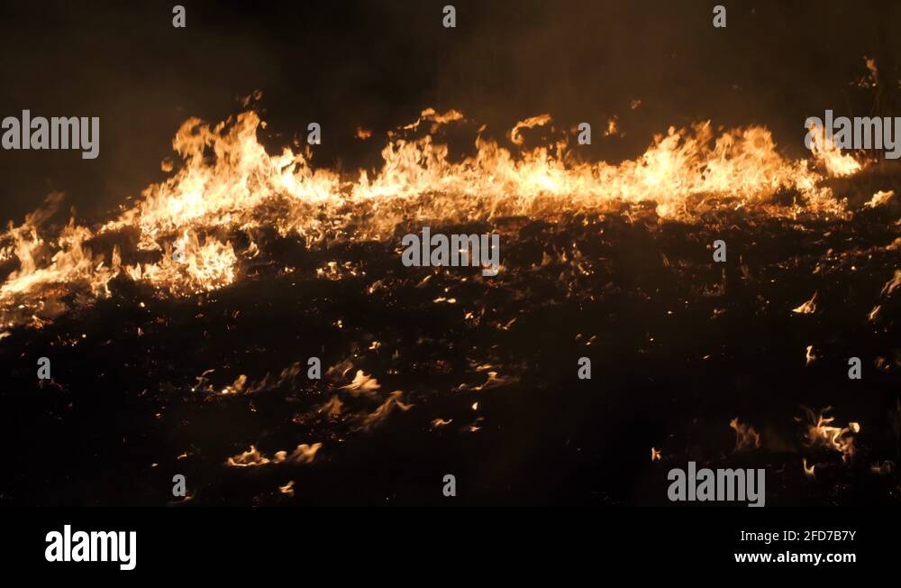 Burn destroy Stock Videos & Footage - HD and 4K Video Clips - Alamy