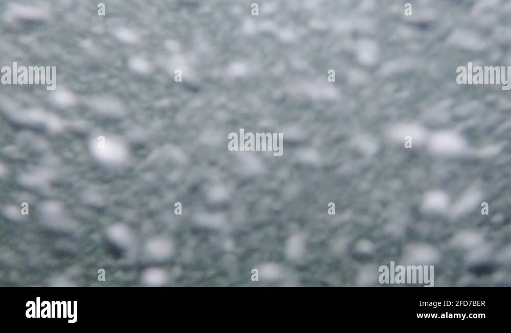 Underwater recording at high resolution of the bubbles circulation ...