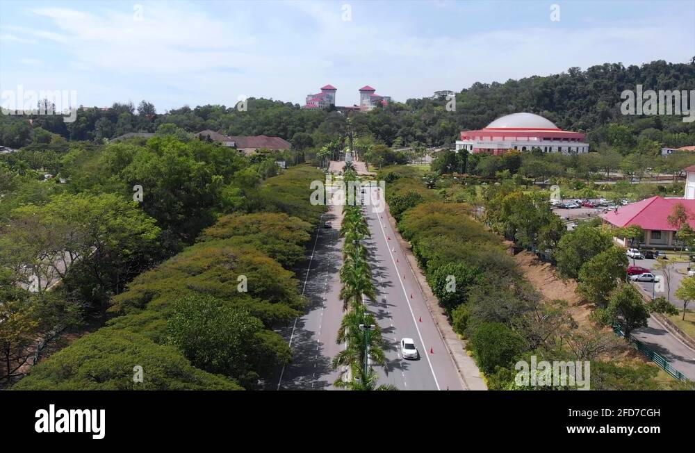Tree over building Stock Videos & Footage - HD and 4K Video Clips - Alamy