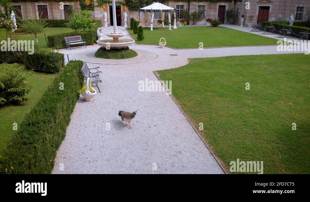 Peacock castle Stock Videos & Footage - HD and 4K Video Clips - Alamy