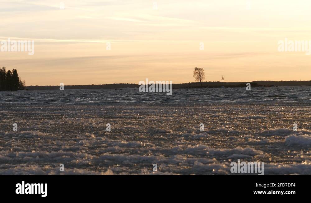 Cold climate tree Stock Videos & Footage - HD and 4K Video Clips - Alamy