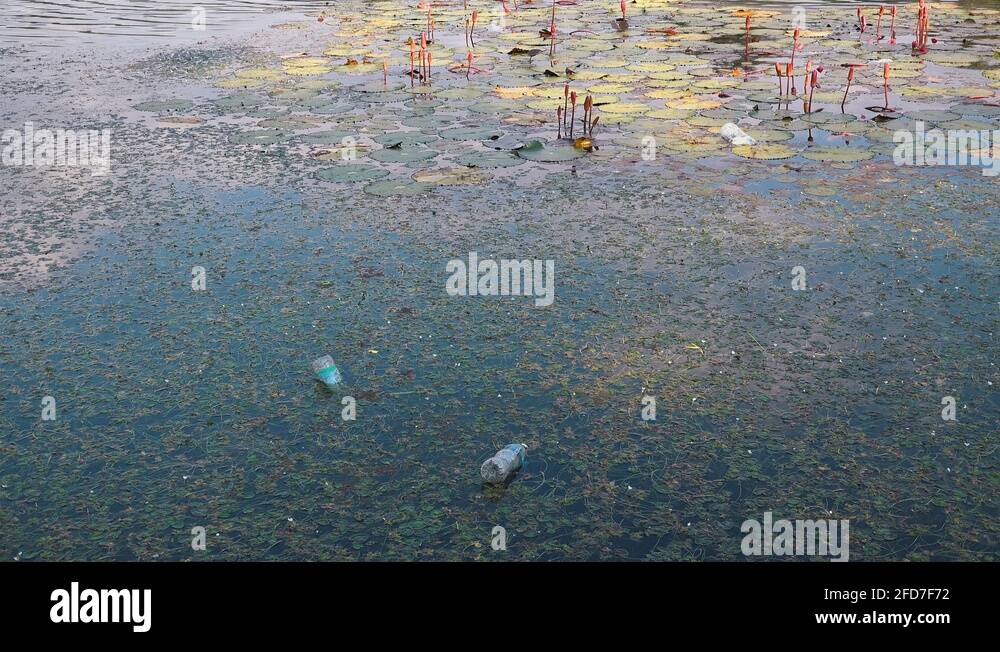 Rubbish thrown in water Stock Videos & Footage - HD and 4K Video Clips ...