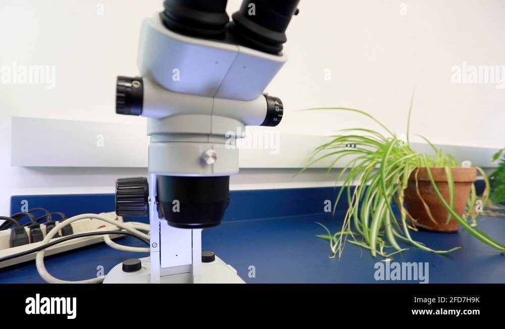 Medical laboratory bench Stock Videos & Footage - HD and 4K Video Clips ...