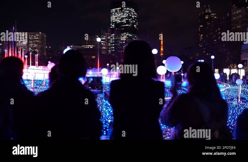 Winter garden display Stock Videos & Footage - HD and 4K Video Clips ...