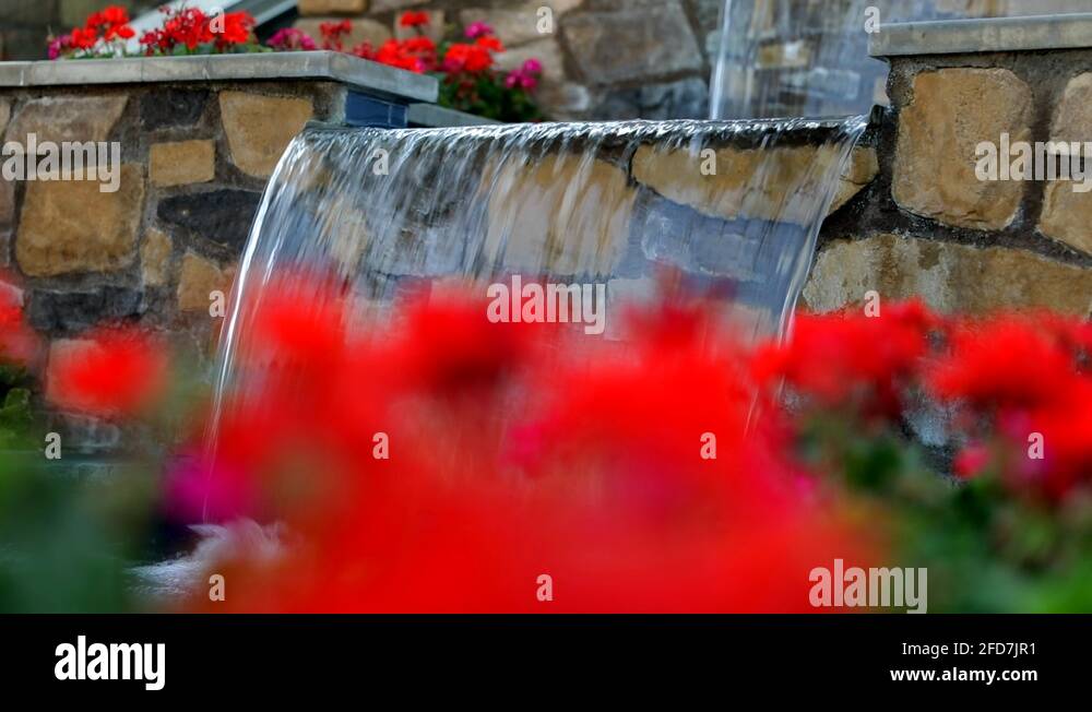 Poppy waterfall Stock Videos & Footage - HD and 4K Video Clips - Alamy