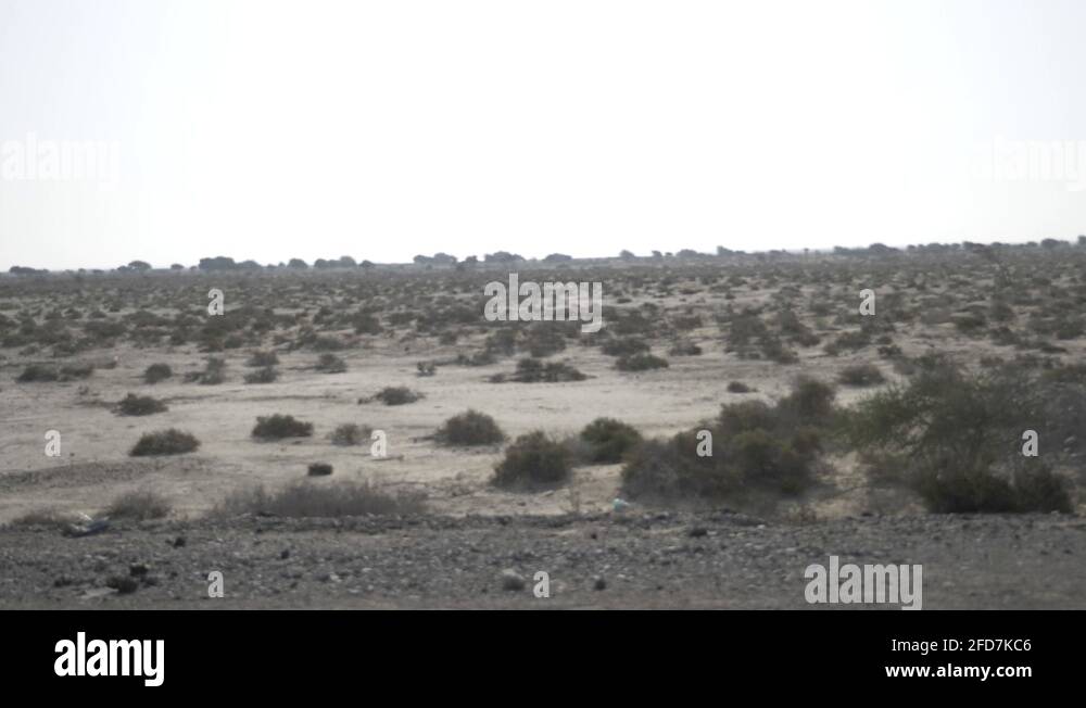 Thar desert pakistan Stock Videos & Footage - HD and 4K Video Clips - Alamy