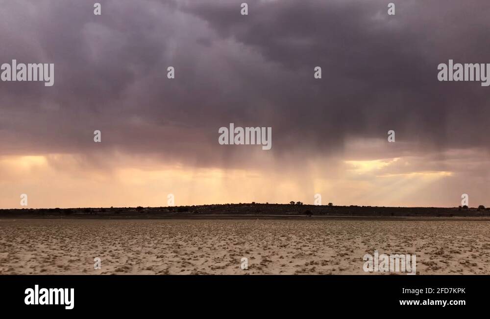 Desert foreground Stock Videos & Footage - HD and 4K Video Clips - Alamy