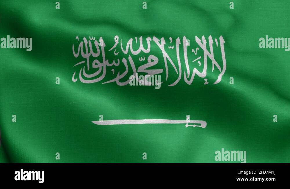 Saudi arabia national emblem Stock Videos & Footage - HD and 4K Video ...