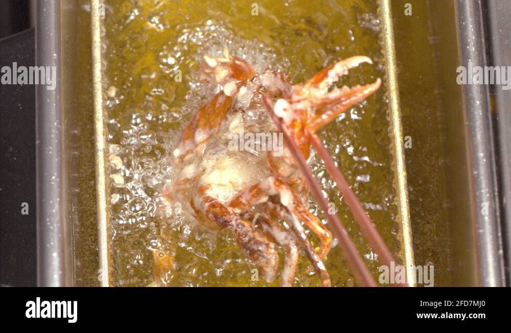 Soft shell crab Stock Videos & Footage - HD and 4K Video Clips - Alamy