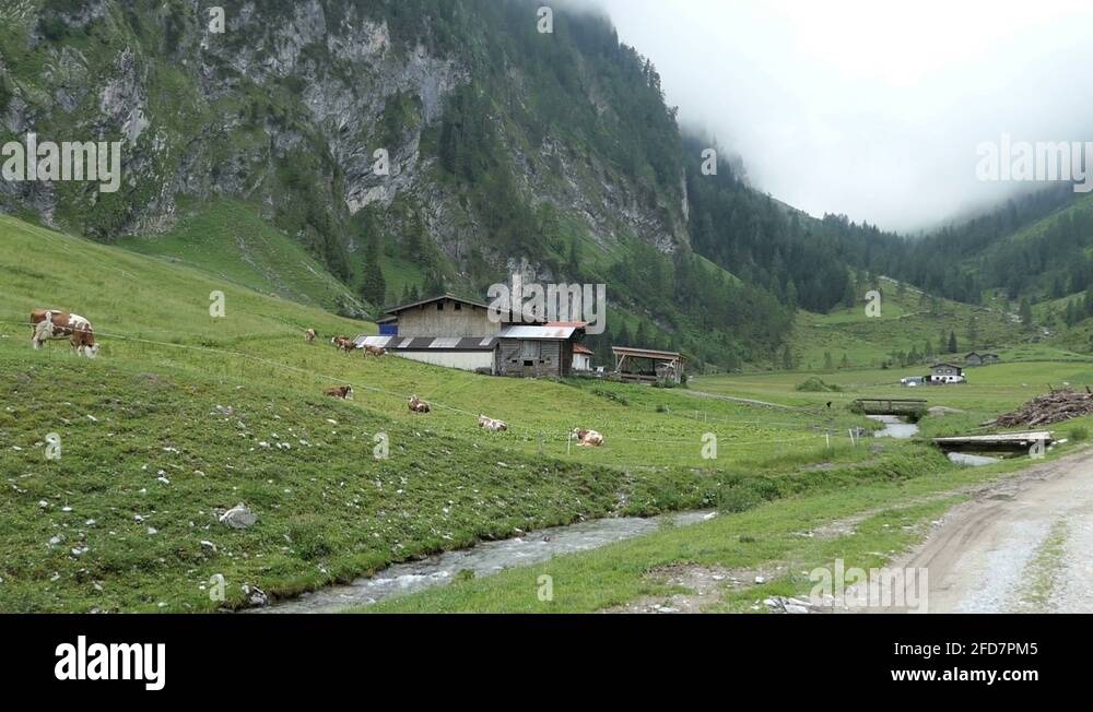 Austrian farm house Stock Videos & Footage - HD and 4K Video Clips - Alamy