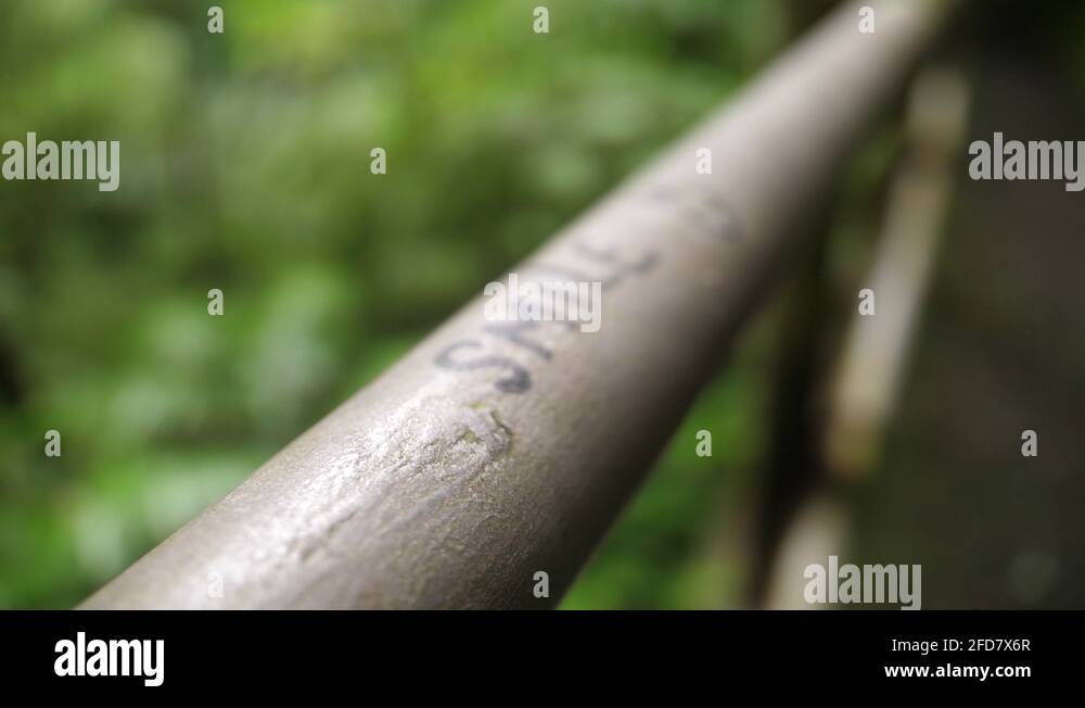 Smile smiley Stock Videos & Footage - HD and 4K Video Clips - Alamy