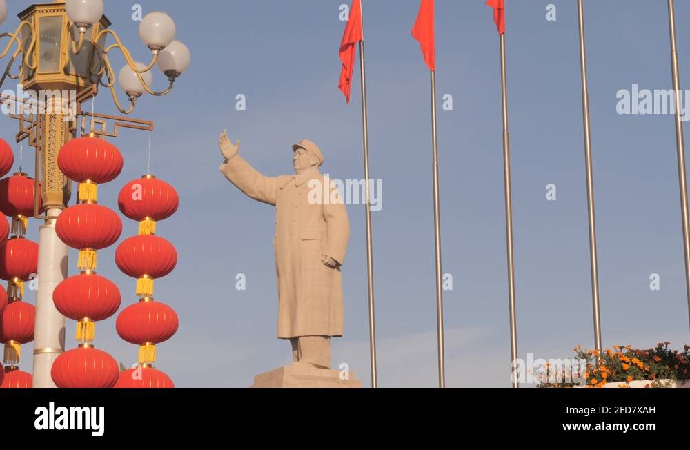 Blue mao mao Stock Videos & Footage - HD and 4K Video Clips - Alamy