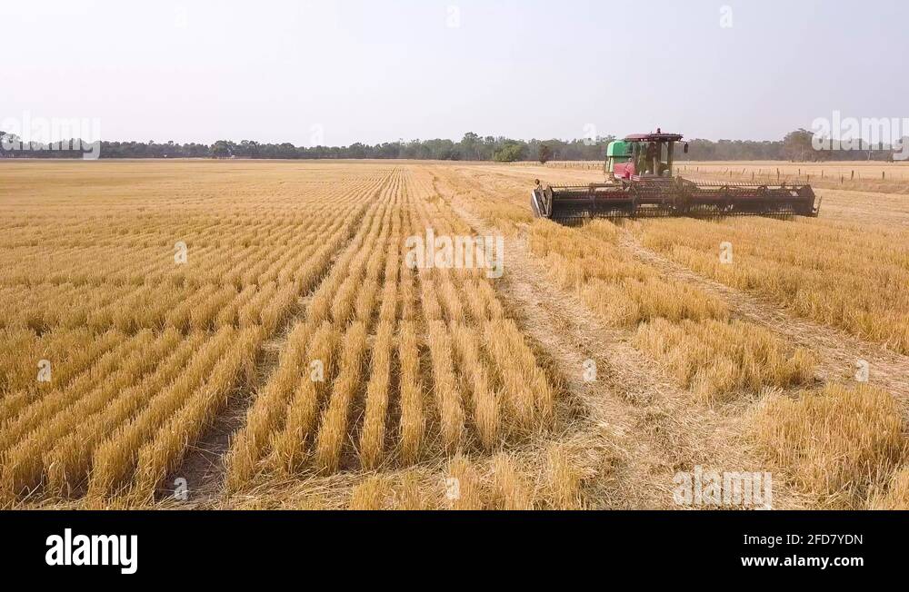 Windrower Stock Videos & Footage - HD and 4K Video Clips - Alamy