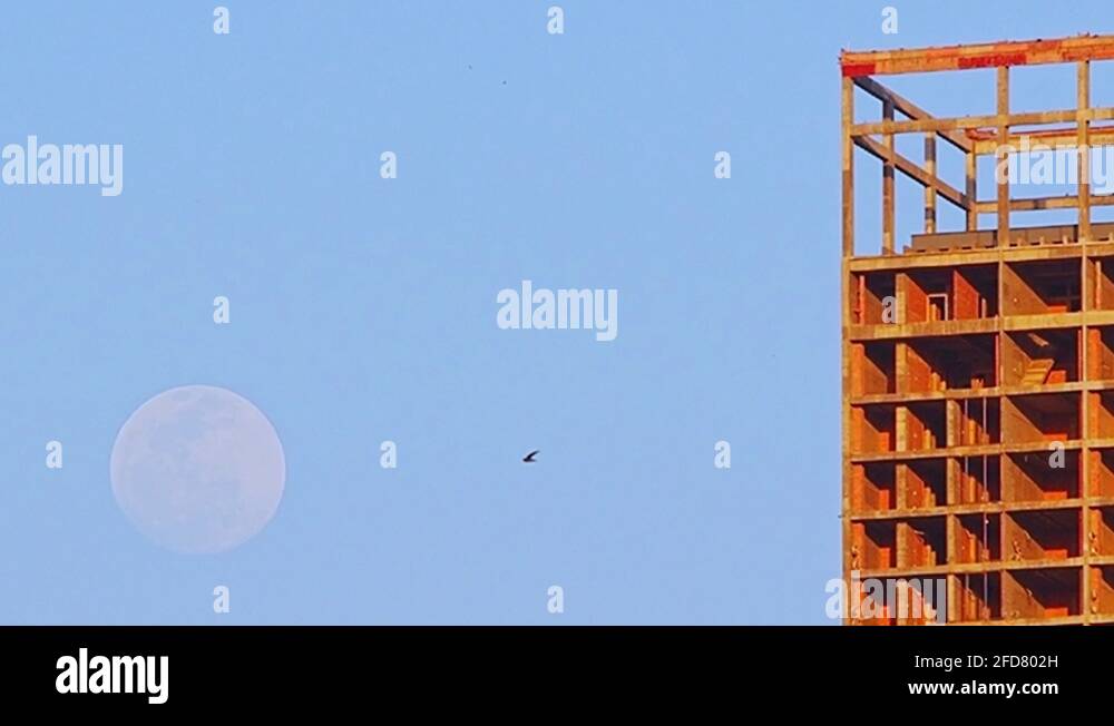 Epic full moon in sky beside high skyscraper building during work early ...