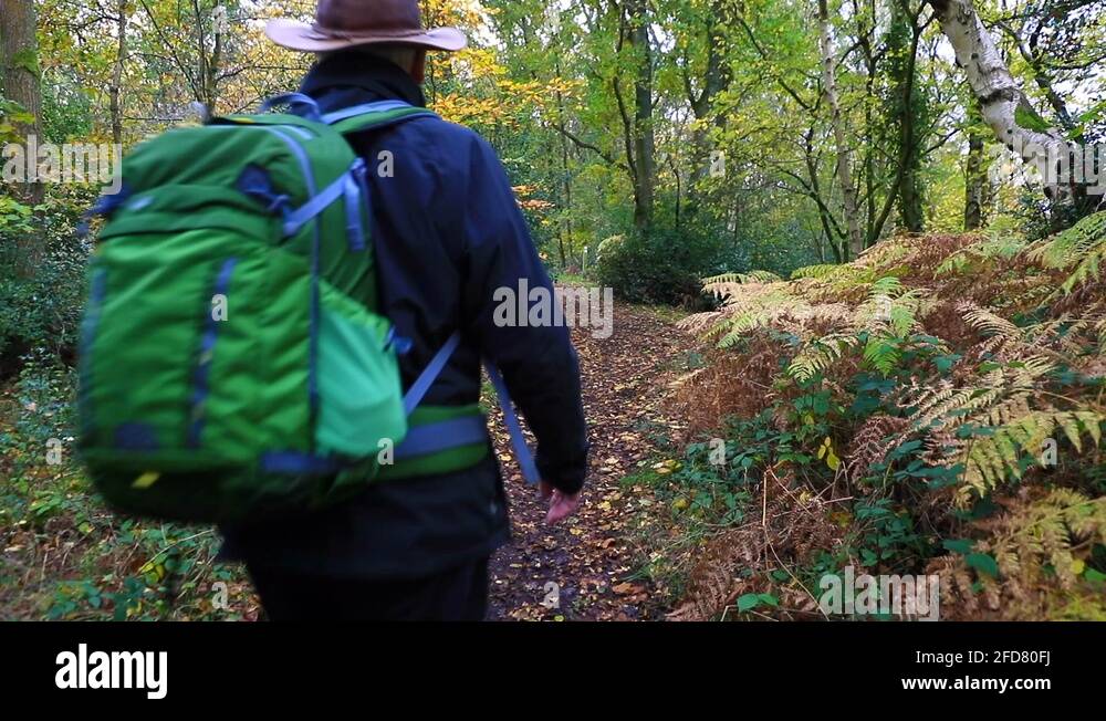 Man carrying frame Stock Videos & Footage - HD and 4K Video Clips - Alamy
