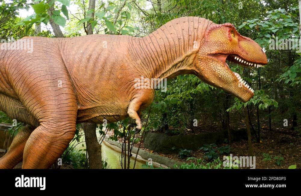 Tyrannosaurus tyrannosaurus rex Stock Videos & Footage - HD and 4K ...