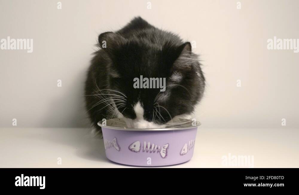 Food with edges Stock Videos & Footage - HD and 4K Video Clips - Alamy