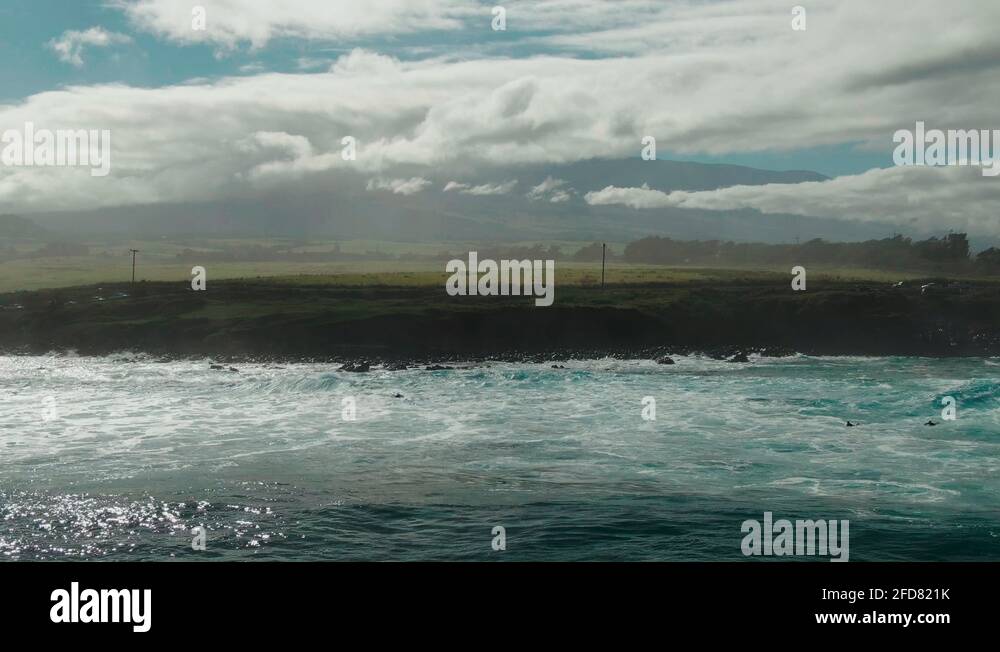 Hawaiian beach background vector Stock Videos & Footage - HD and 4K ...