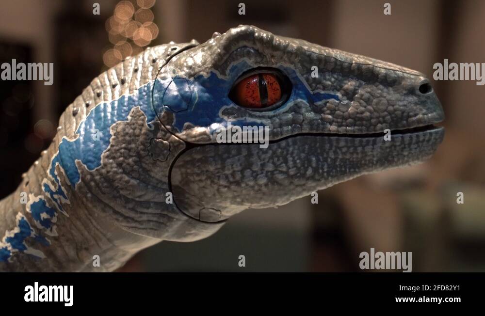 Zoomed up Stock Videos & Footage - HD and 4K Video Clips - Alamy