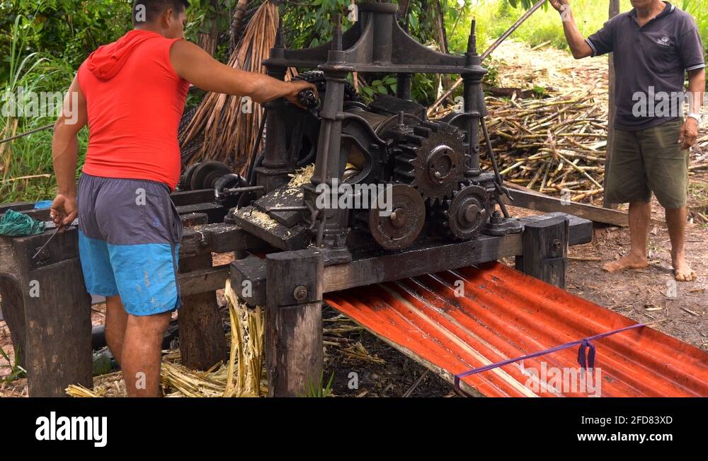 Hopper machine Stock Videos & Footage - HD and 4K Video Clips - Alamy