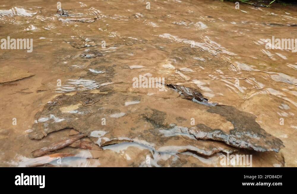 mountain spring water stream running down huge sandstone slabs of rock ...