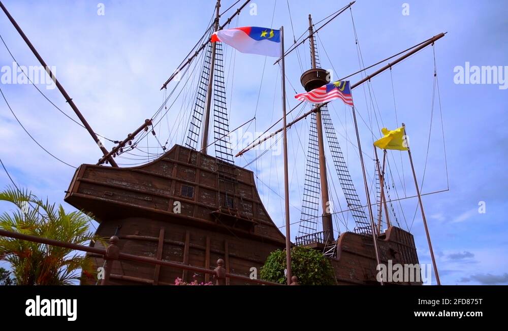 Flor do mar Stock Videos & Footage - HD and 4K Video Clips - Alamy