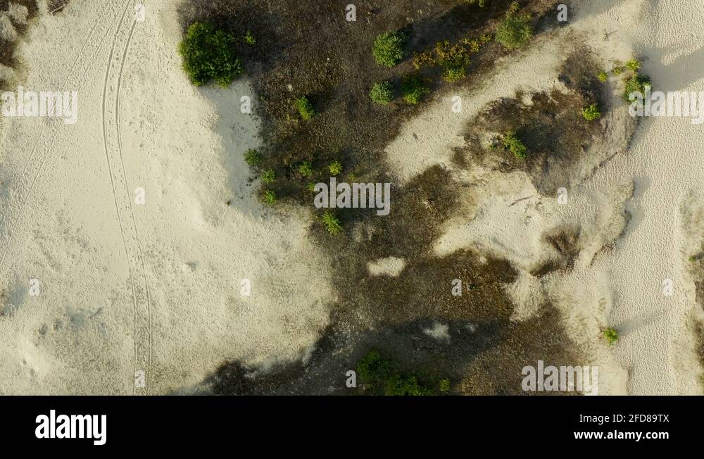 Heather sand Stock Videos & Footage - HD and 4K Video Clips - Alamy