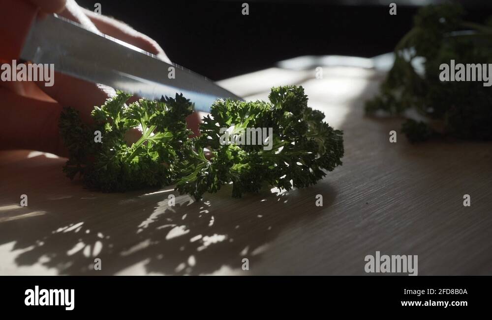 Cutting up food dinner Stock Videos & Footage - HD and 4K Video Clips ...