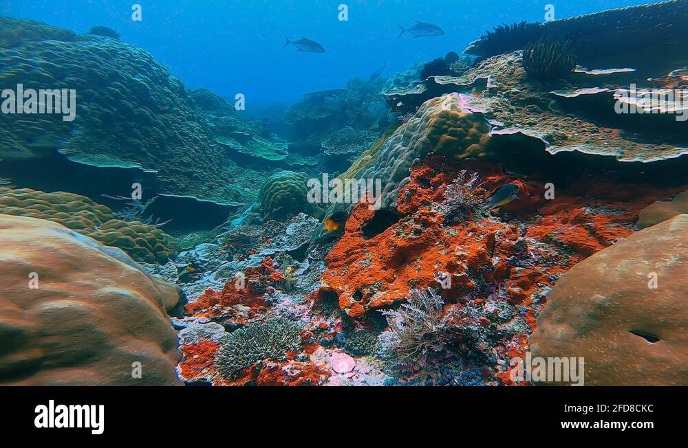 Soft structures Stock Videos & Footage - HD and 4K Video Clips - Alamy