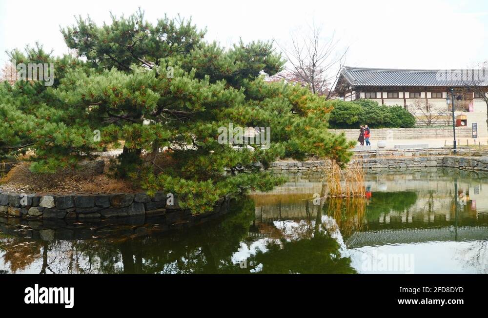 Korean pond Stock Videos & Footage - HD and 4K Video Clips - Alamy