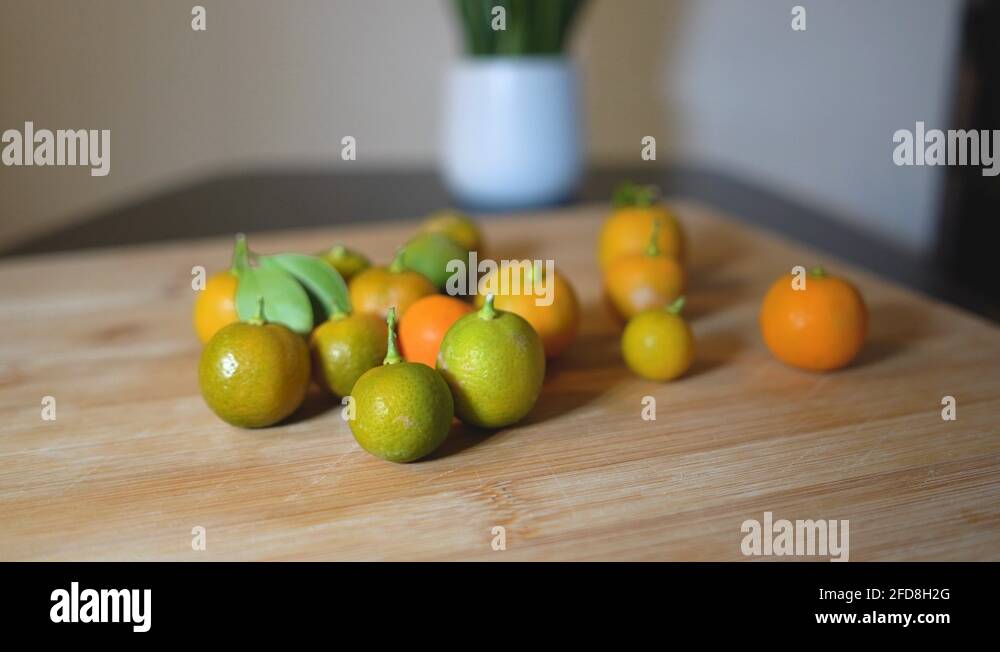 Philippine lime Stock Videos & Footage - HD and 4K Video Clips - Alamy