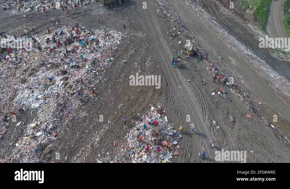 Scavengers garbage Stock Videos & Footage - HD and 4K Video Clips - Alamy