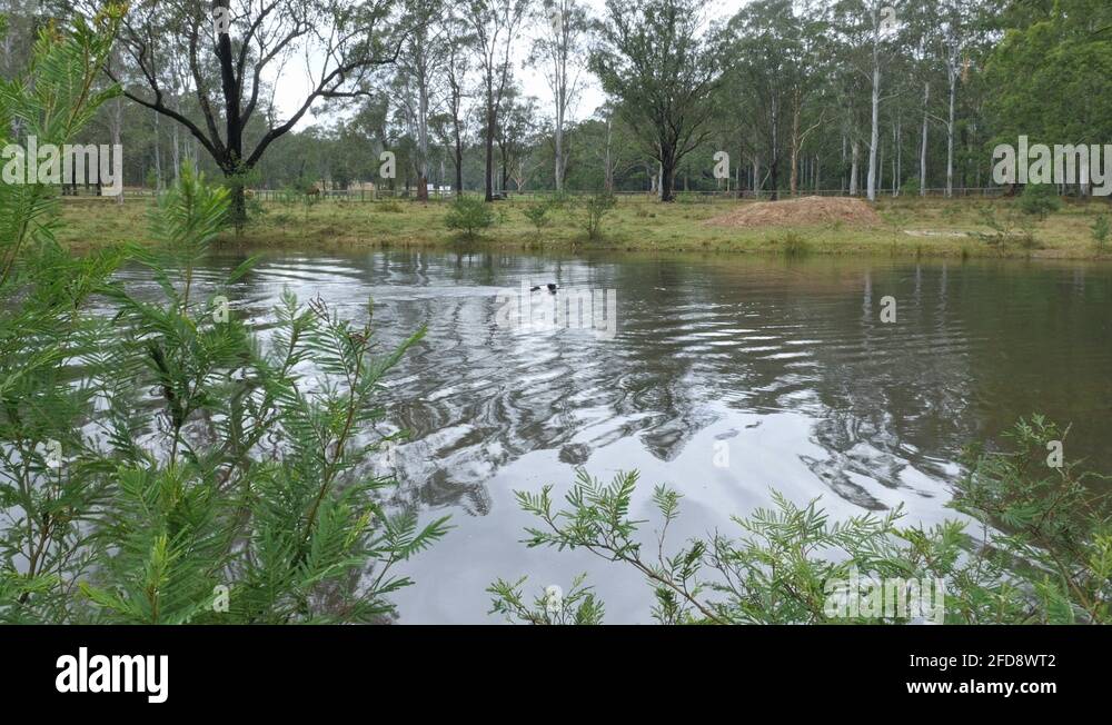 Dry dams Stock Videos & Footage - HD and 4K Video Clips - Alamy