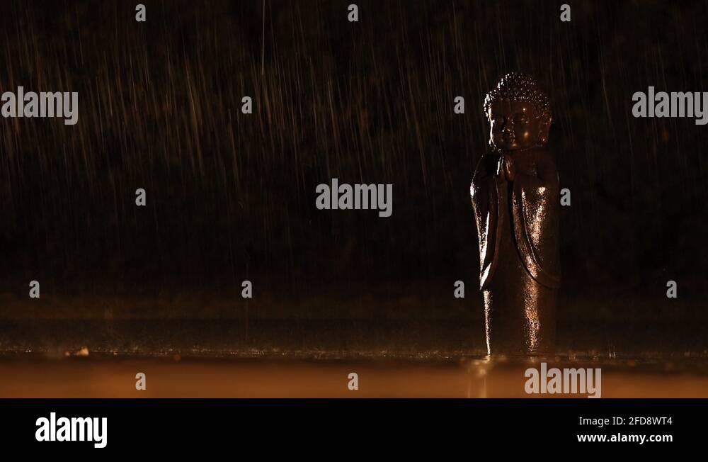 Wet buddha Stock Videos & Footage - HD and 4K Video Clips - Alamy