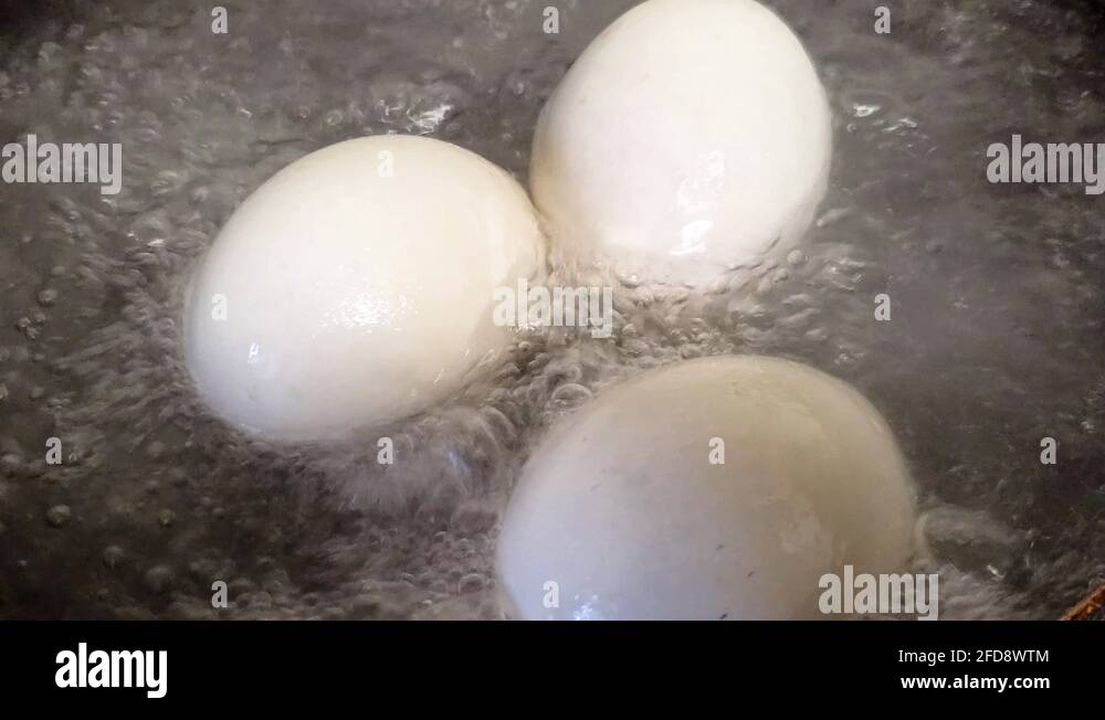 Traditional filipino food, balut in a boiling hot water Stock Video ...