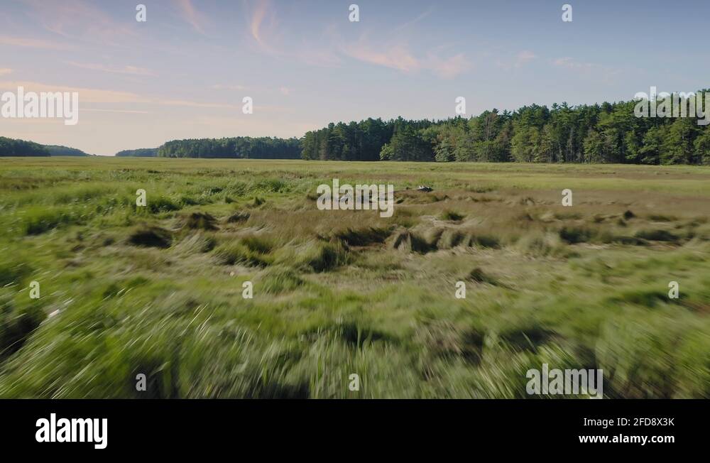 Tidal marsh land Stock Videos & Footage - HD and 4K Video Clips - Alamy