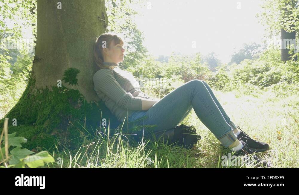 Resting against tree Stock Videos & Footage - HD and 4K Video Clips - Alamy