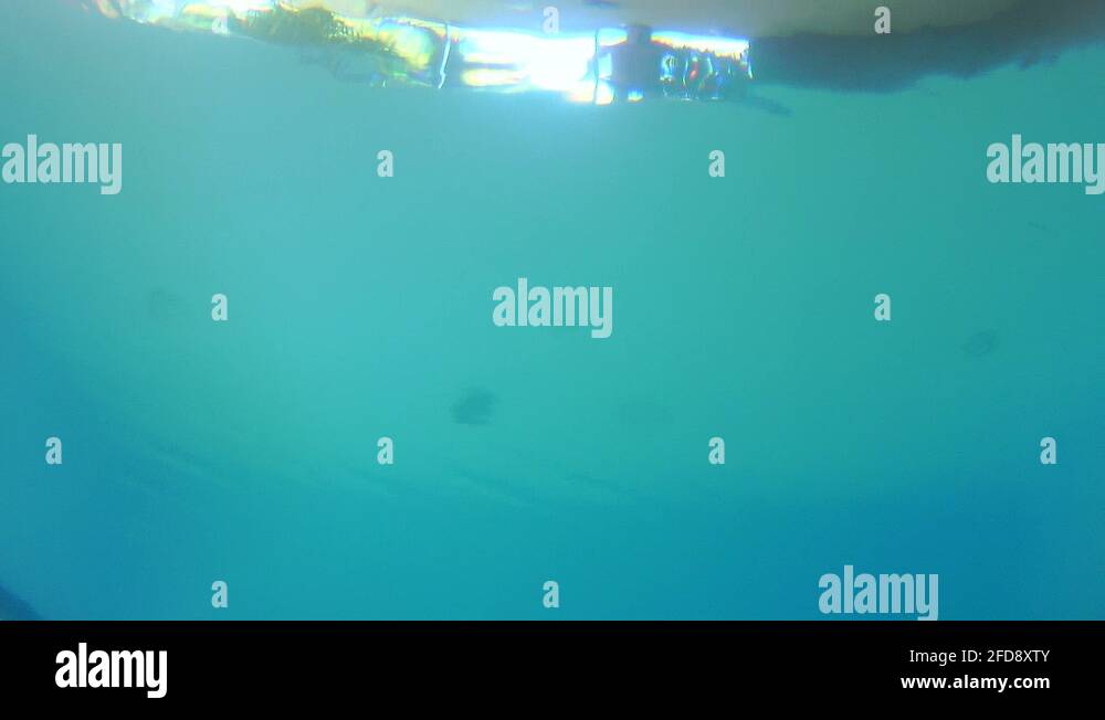 Plunge Stock Videos & Footage - HD and 4K Video Clips - Alamy