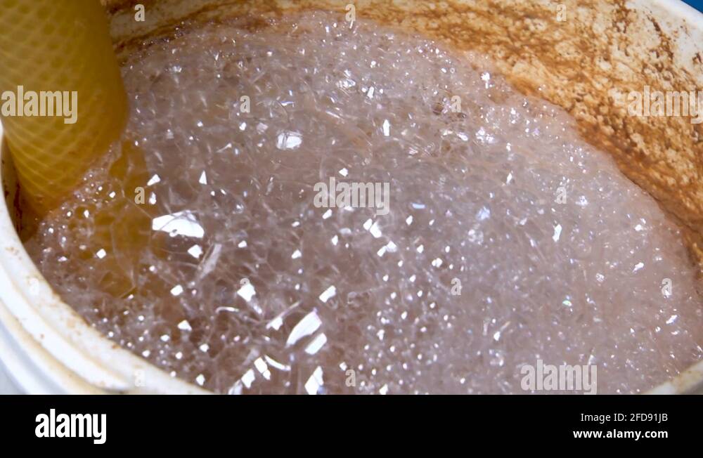 White foam container Stock Videos & Footage - HD and 4K Video Clips - Alamy