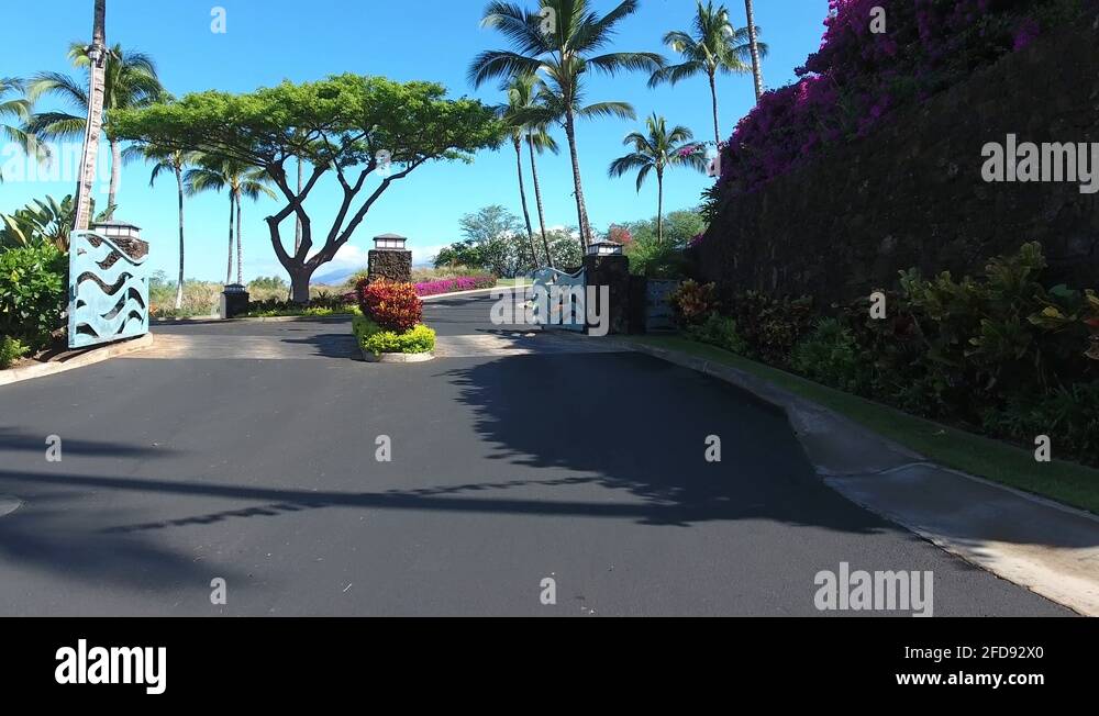 Resort road with flowers Stock Videos & Footage - HD and 4K Video Clips ...