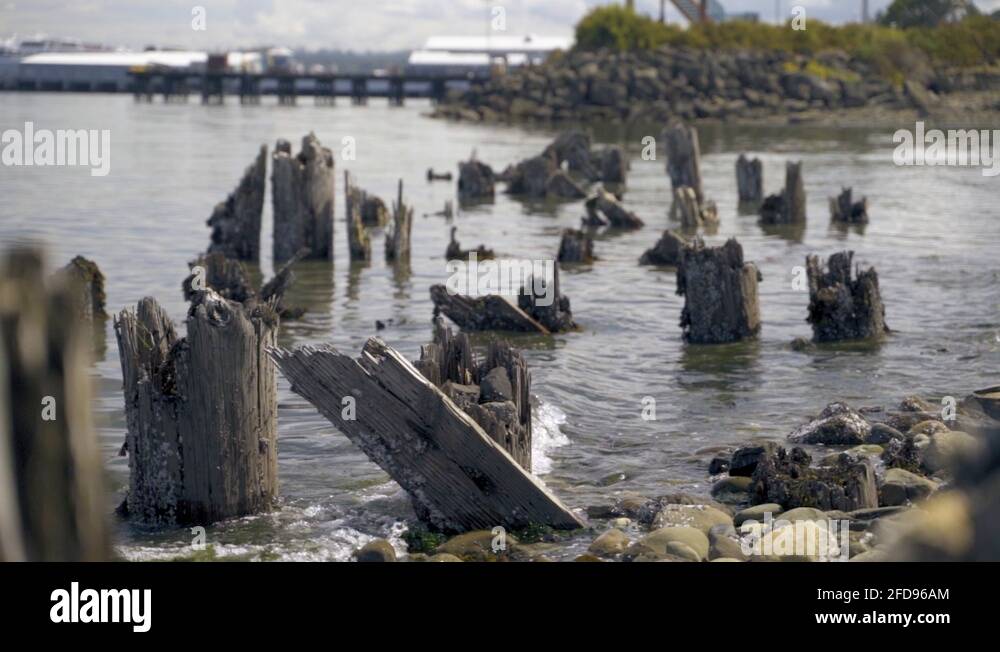 Sea pilings waves Stock Videos & Footage - HD and 4K Video Clips - Alamy