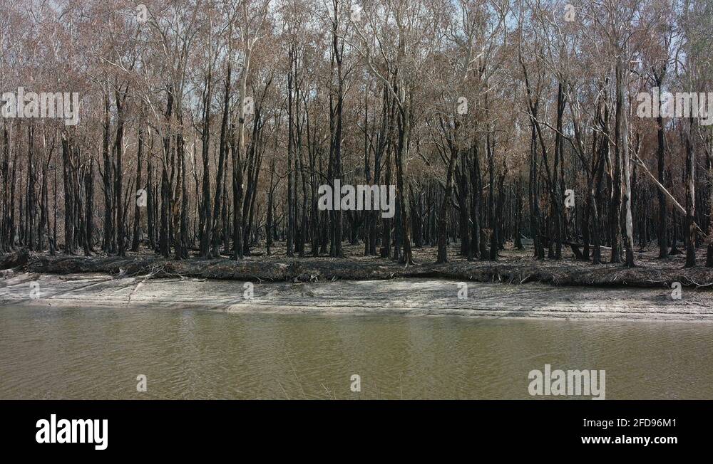 Disaster stricken Stock Videos & Footage - HD and 4K Video Clips - Alamy