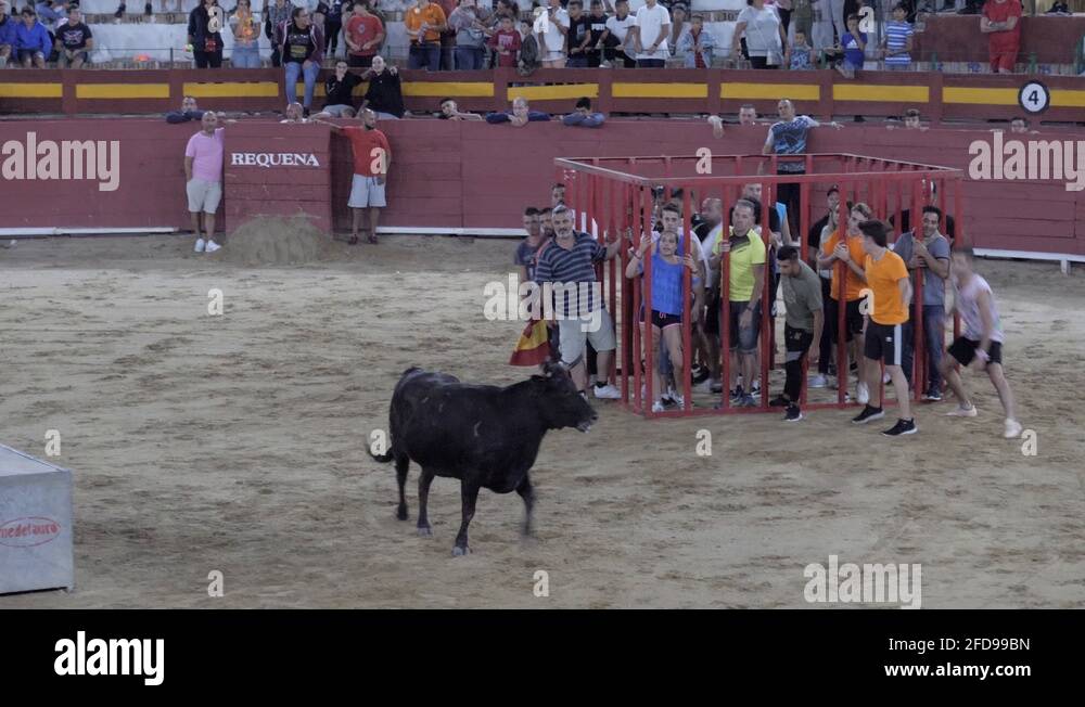 Bullfighting party Stock Videos & Footage - HD and 4K Video Clips - Alamy