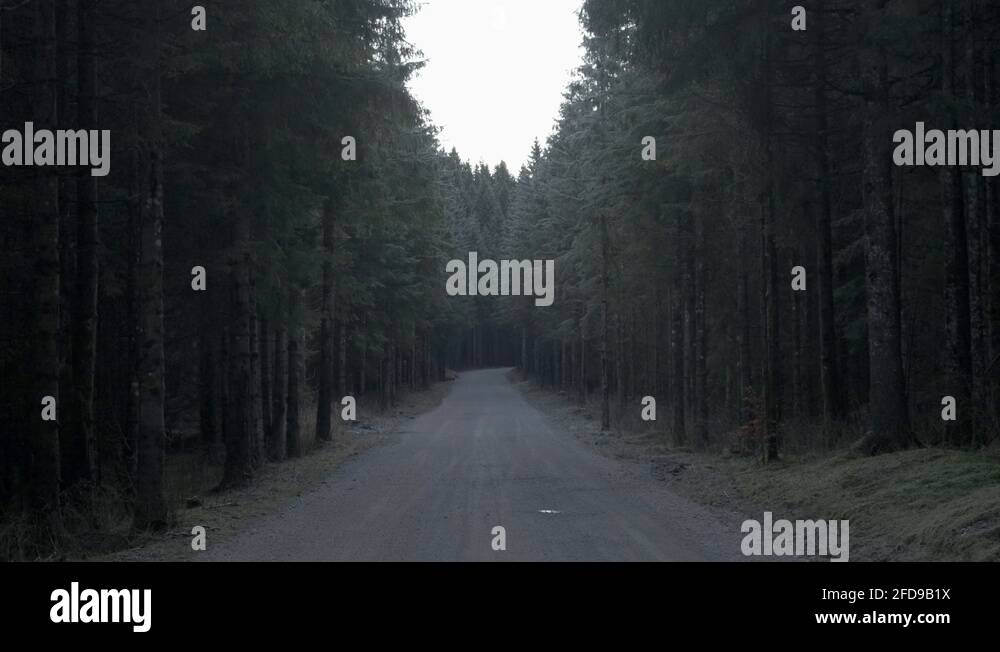 Horror road Stock Videos & Footage - HD and 4K Video Clips - Alamy