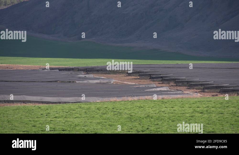 Long valley farm Stock Videos & Footage - HD and 4K Video Clips - Alamy