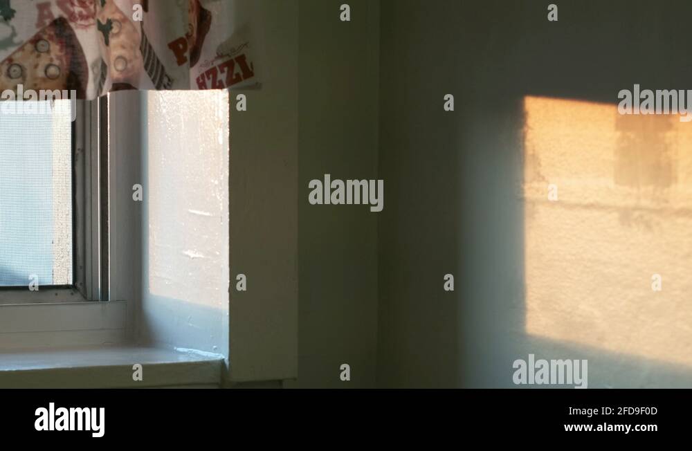 Light coming in window Stock Videos & Footage - HD and 4K Video Clips ...