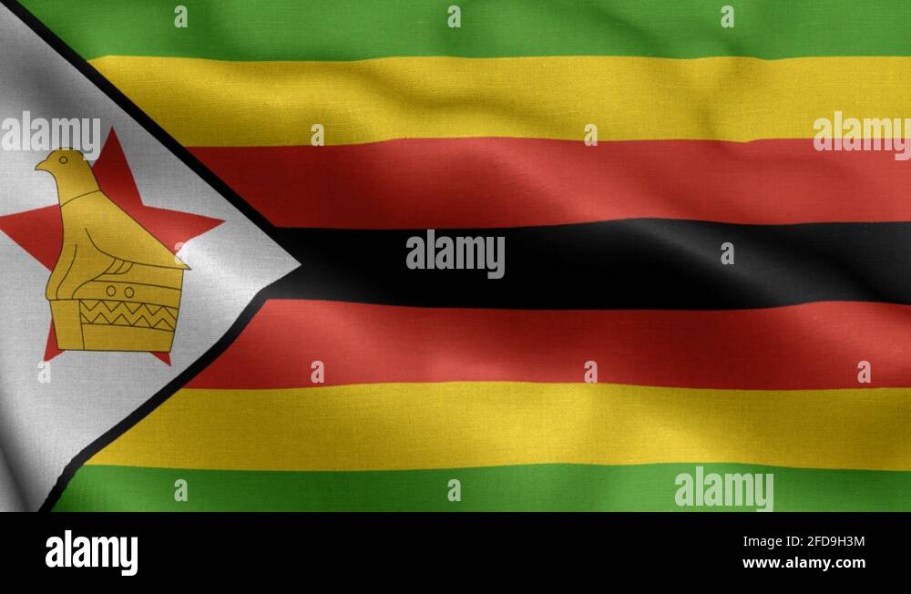White zimbabwe flag Stock Videos & Footage - HD and 4K Video Clips - Alamy