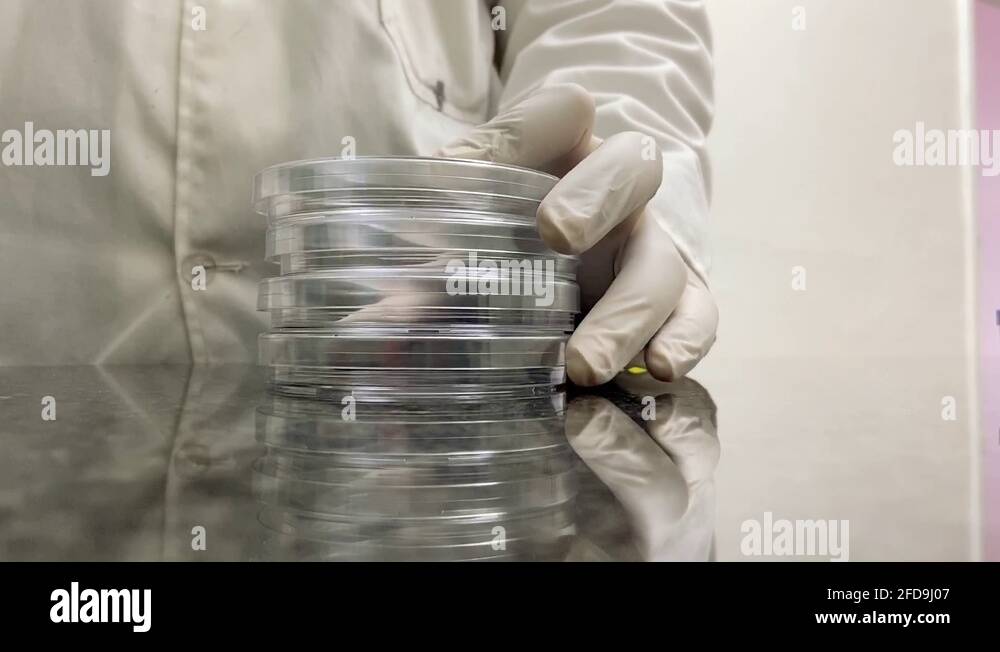 Laboratory plates Stock Videos & Footage - HD and 4K Video Clips - Alamy