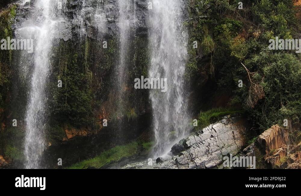 Crocodile waterfall Stock Videos & Footage - HD and 4K Video Clips - Alamy