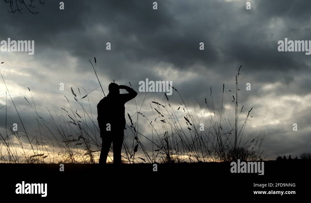 Dramatic pause Stock Videos & Footage - HD and 4K Video Clips - Alamy